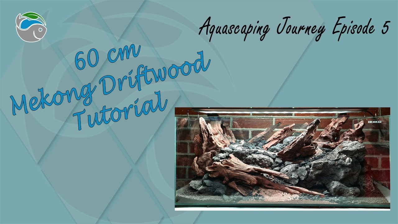 Ep5: The 60 cm Mekong Driftwood Hardscape - YouTube
