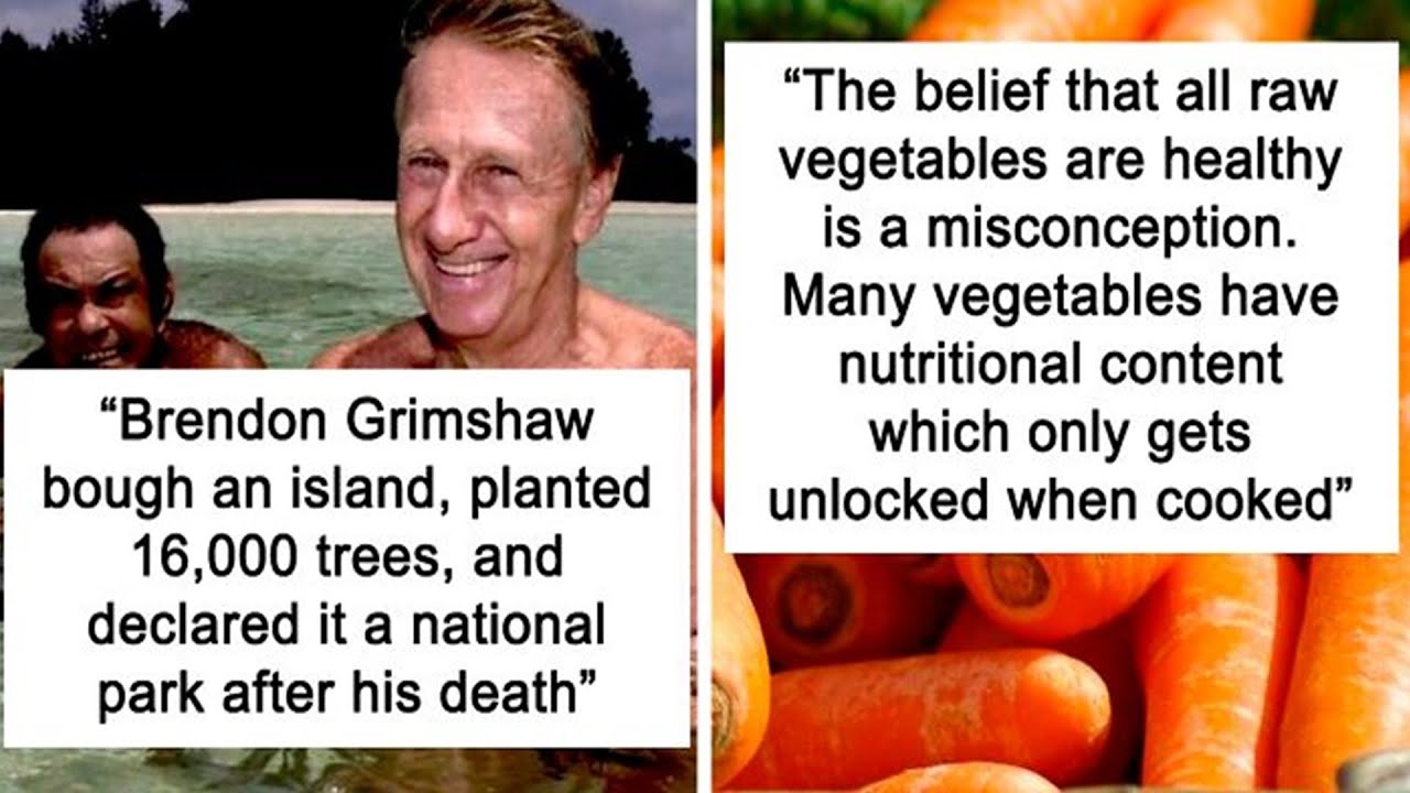 Expert’ Side-Splitting Memes That Perfectly Capture the Struggles of ...