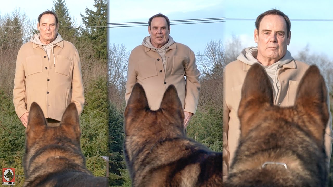 (SG) Viper Mineo - Kraftwork K9