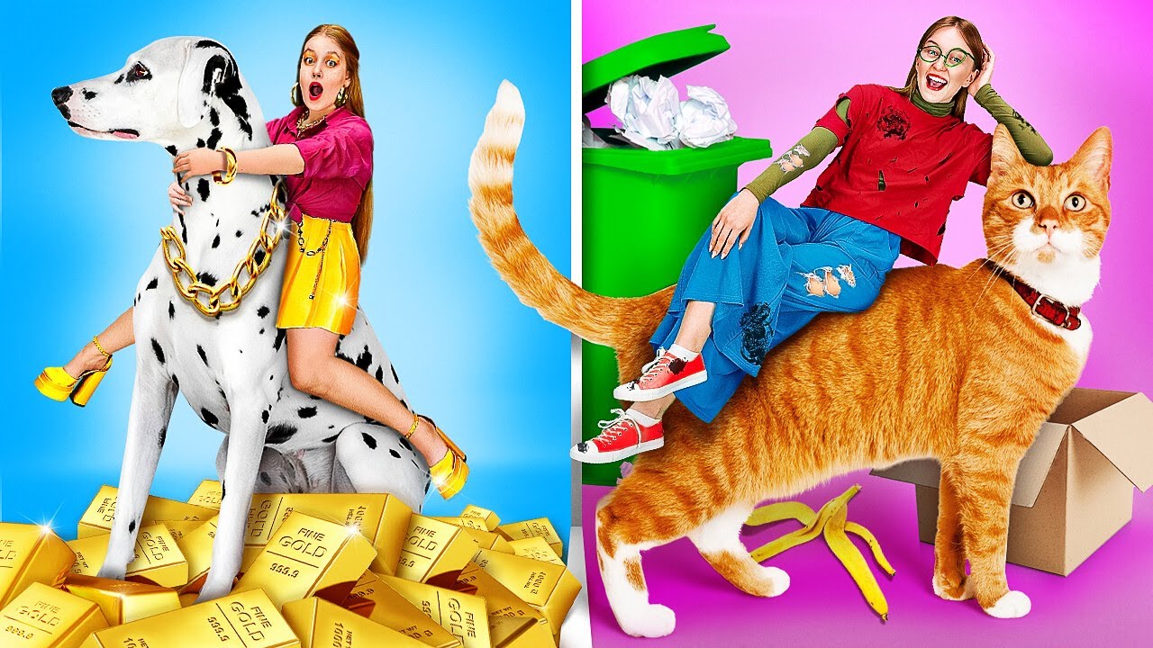 RICH VS POOR PET OWNERS || Cooking Challenge! Cheap VS Expensive Treats ...