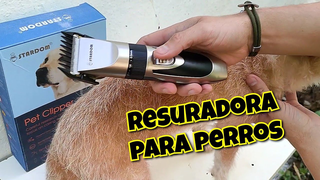 Pet Clipper stardom / Maquina para Perros / Como usar? / Es Buena ...