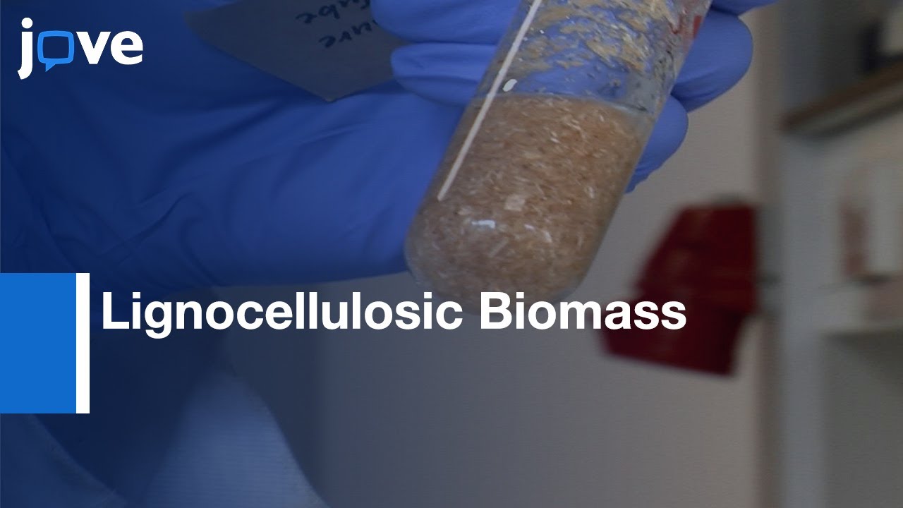 Lignocellulosic Biomass Pretreatment with Ionic Liquids | Protocol Preview - YouTube