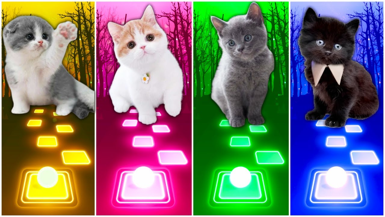 CUTE CATS - DANCE MONKEY VS BLOODY MARY WEDNESDAY VS BTS DYNAMITE VS SUGAR MAROON 5 TILES HOP ...
