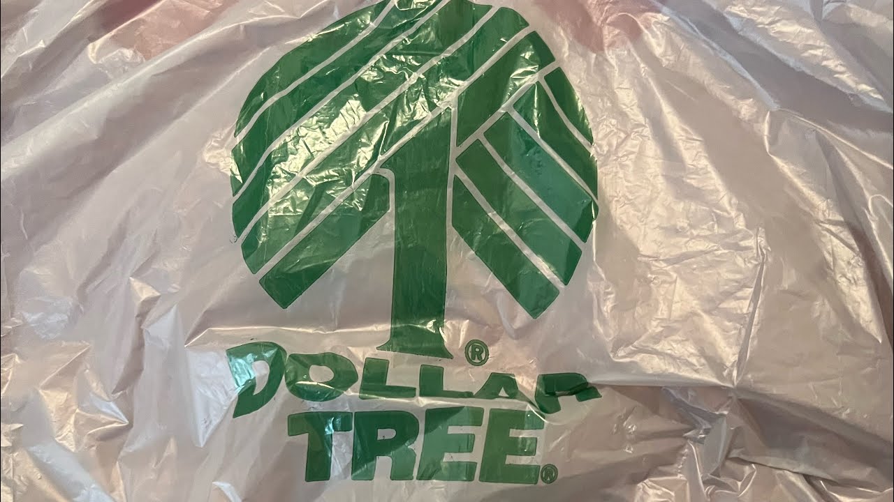 Small Dollar Tree Haul#DollarTree#Haul - YouTube