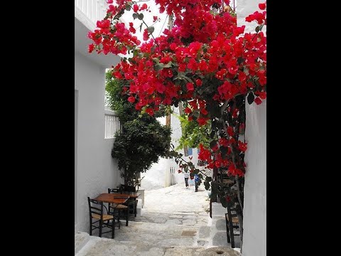 DJ MIST - ΤΗΛΕΦΩΝΗΣΕ ΜΟΥ - ΚΑΡΡΑΣ (DJ MIST REMIX 2024) - YouTube