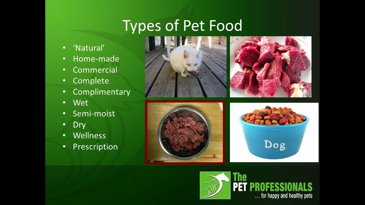 Understanding Canine Nutrition - YouTube