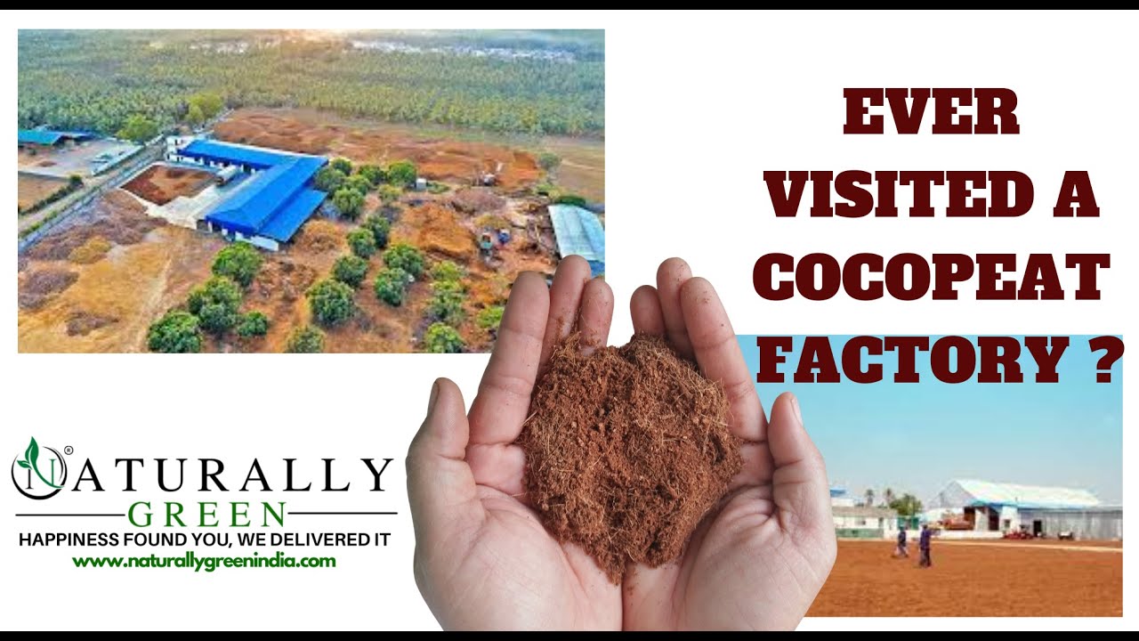 Ever visited a coco-peat factory!!! - YouTube