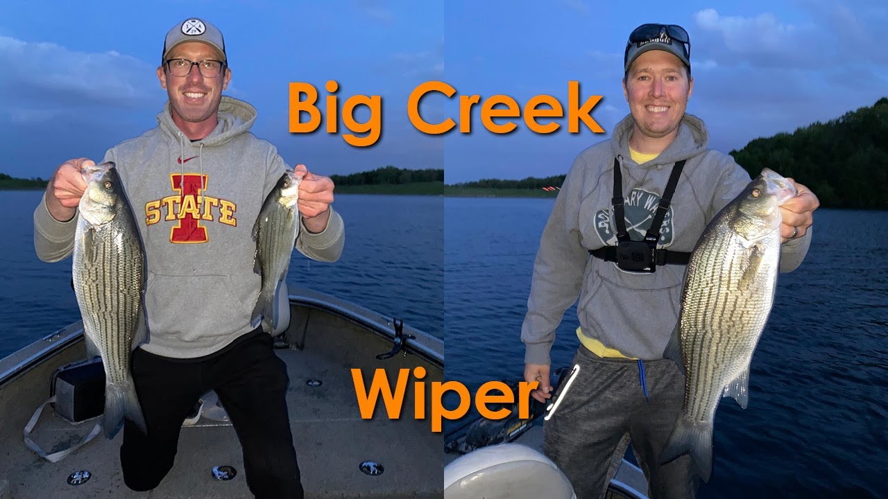 Big Creek Iowa Wiper - Cold Day, Hot Bite (Fishing For Hybrids) - YouTube