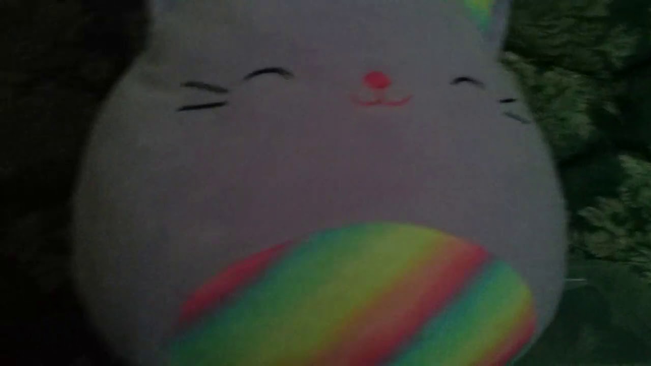 Fat guy interview - YouTube