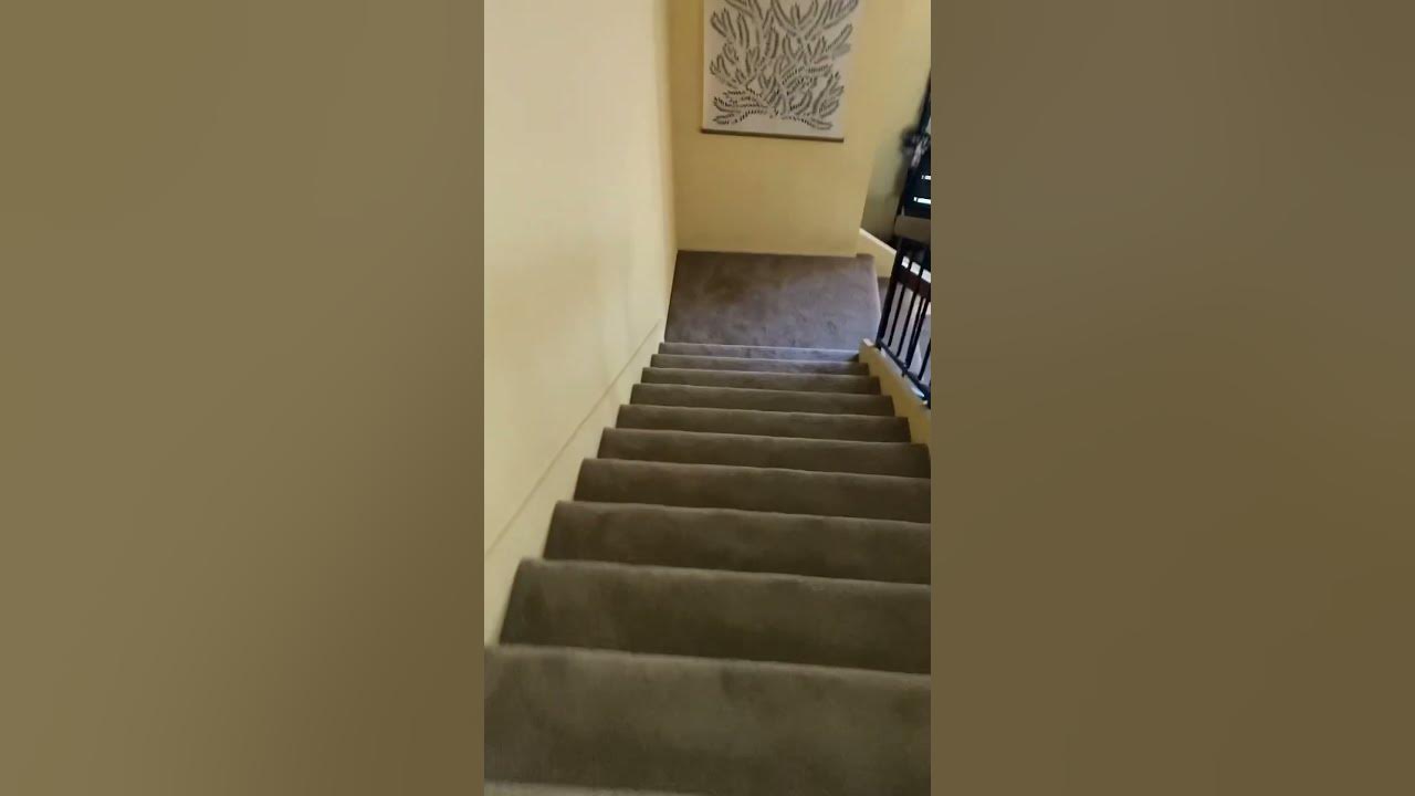 POV: you slept for 2 hours - YouTube