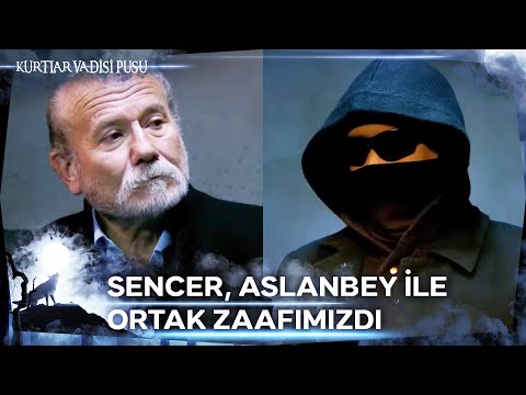 Sencer'in Ülkeyi Ateşe Atmasına Mani Olamlıyız | Kurtlar Vadisi Pusu 179. Bölüm