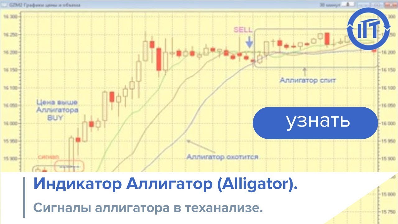 Индикатор Аллигатор (Alligator). Сигналы аллигатора в теханализе. - YouTube