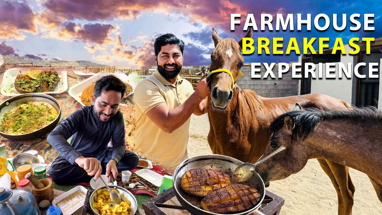 Farmhouse Breakfast Experience | Rustic Morning | madinah - YouTube