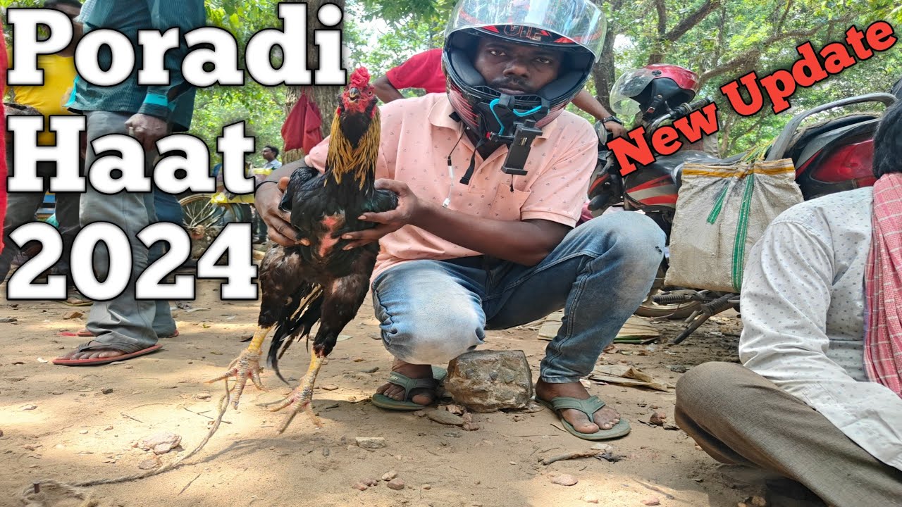 Poradi Murga Market 2024lPoradi Haat Sujit Mandi Vlog - YouTube
