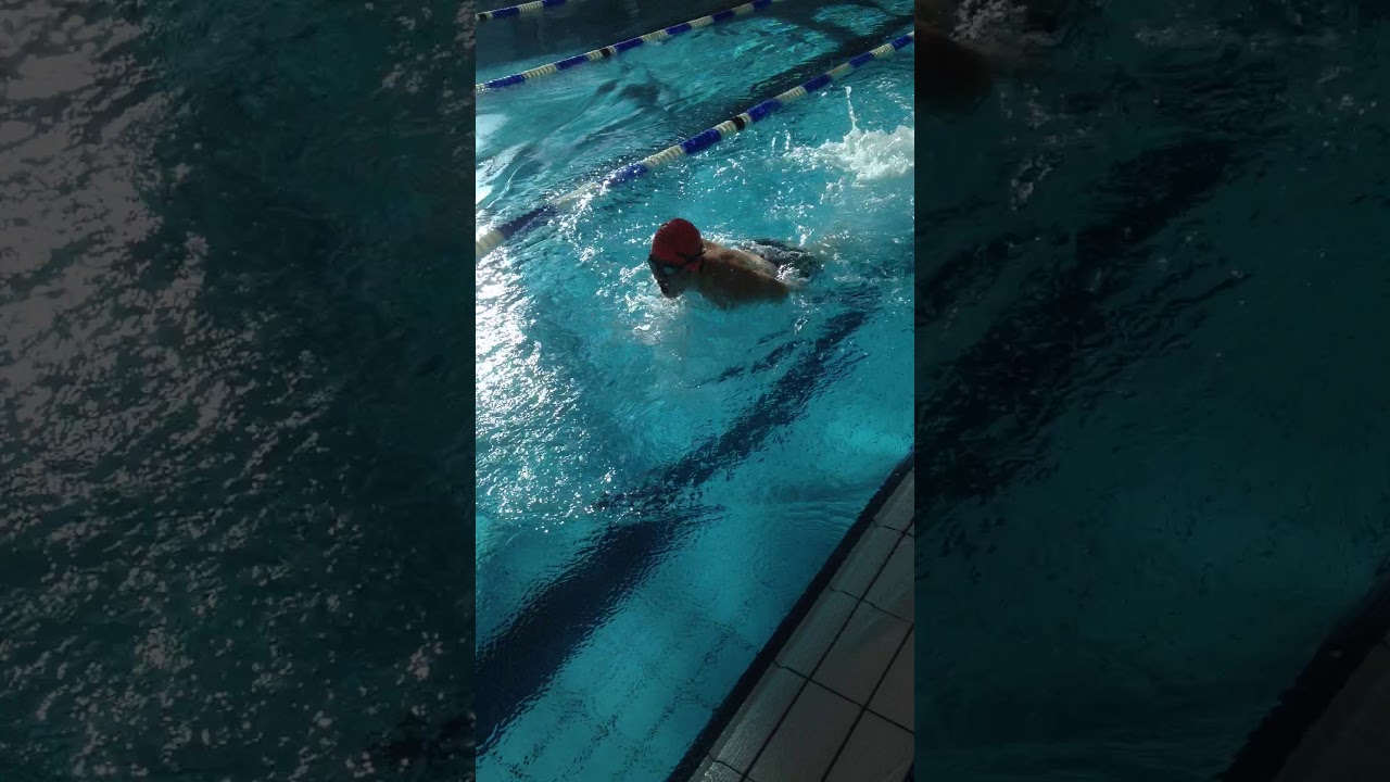 butterfly aaron 20200312 - YouTube