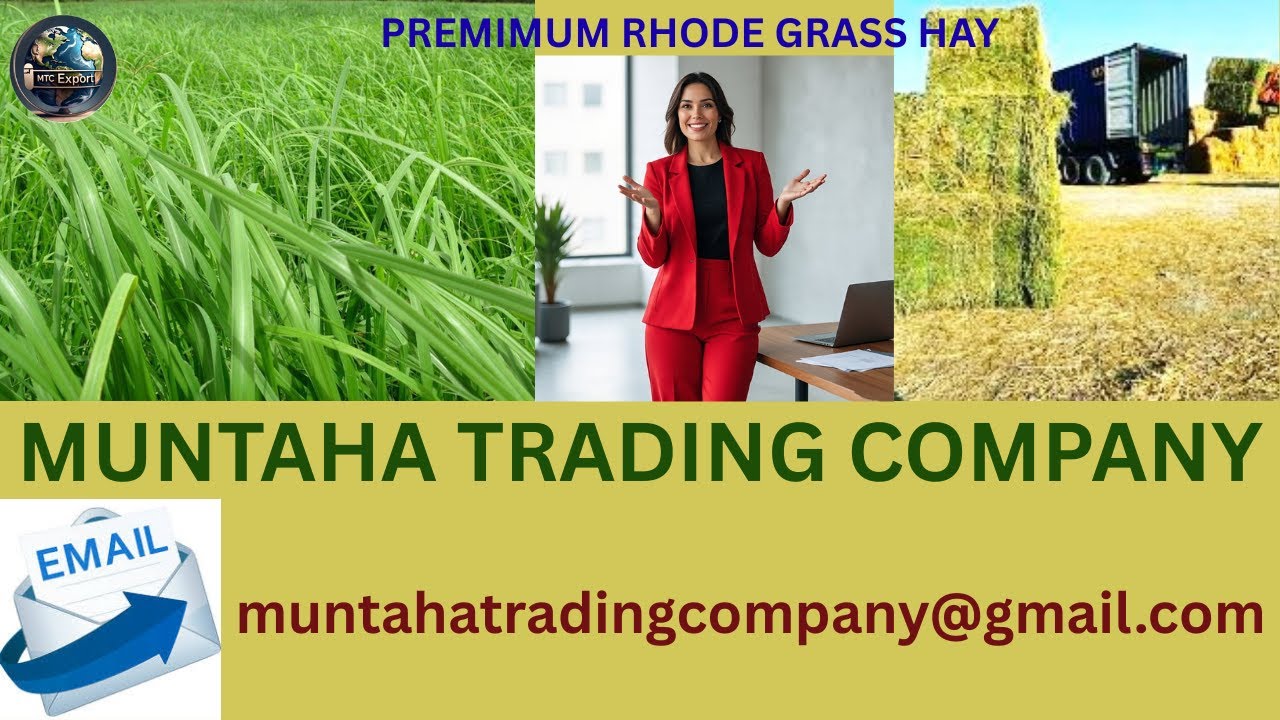 Premium Rhodes Grass Hay for Animal Feed | Export by Muntaha Trading ...
