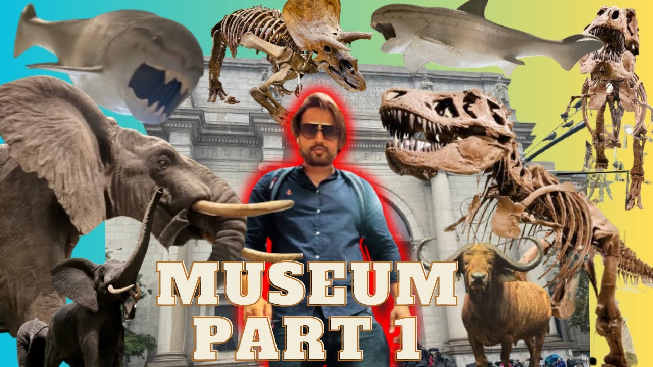 Exploring the Wonders of Nature at American Museum of Natural History ...