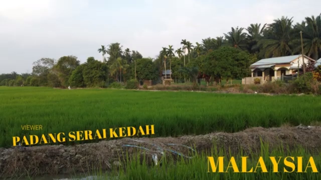 Scenery | Padang Serai Viewer - YouTube
