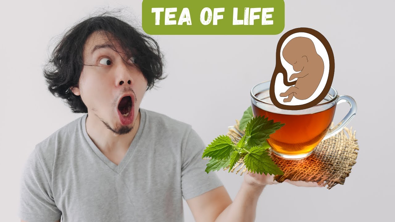 How to Make Miracle Leaf Tea | Miracle Leaf - YouTube
