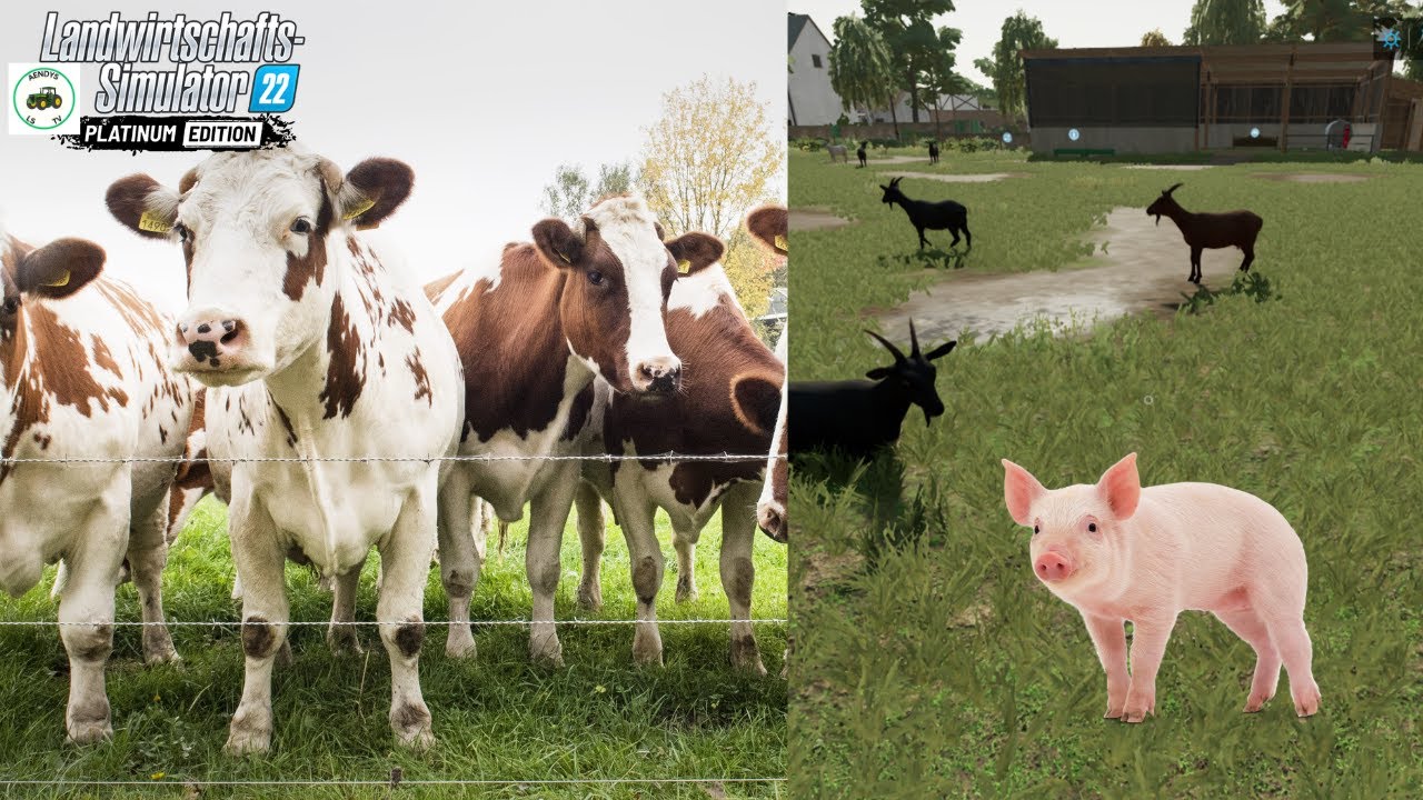 New Animals for Bergmann Farm 1.2 | Farming-Simulator 22 Hof Bergmann 1 ...