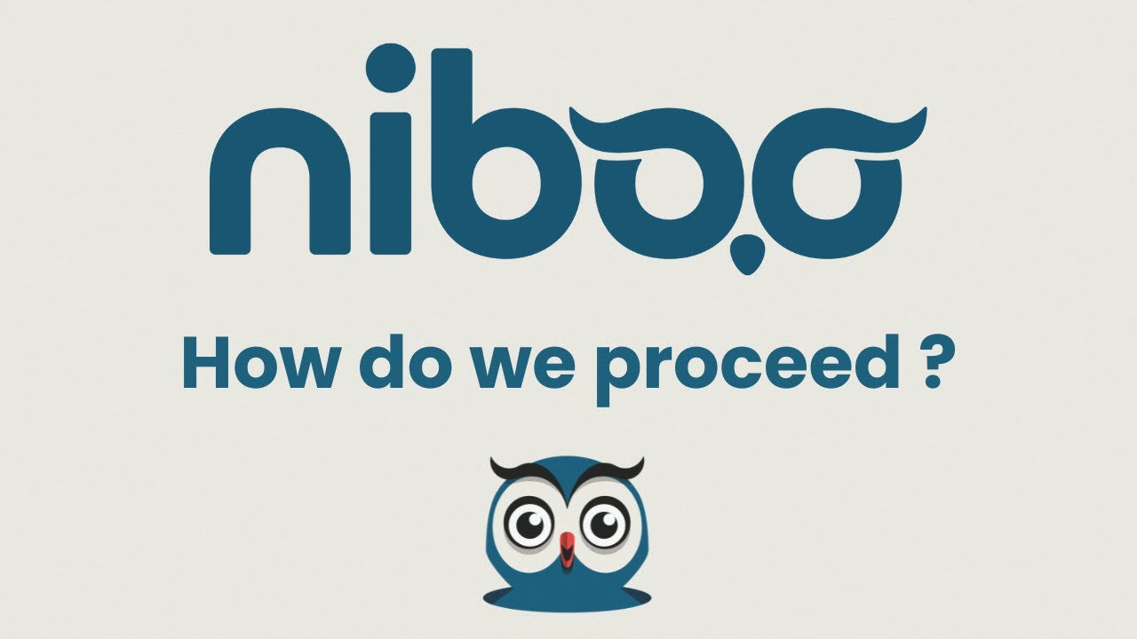 Niboo Team - How do we proceed? - YouTube