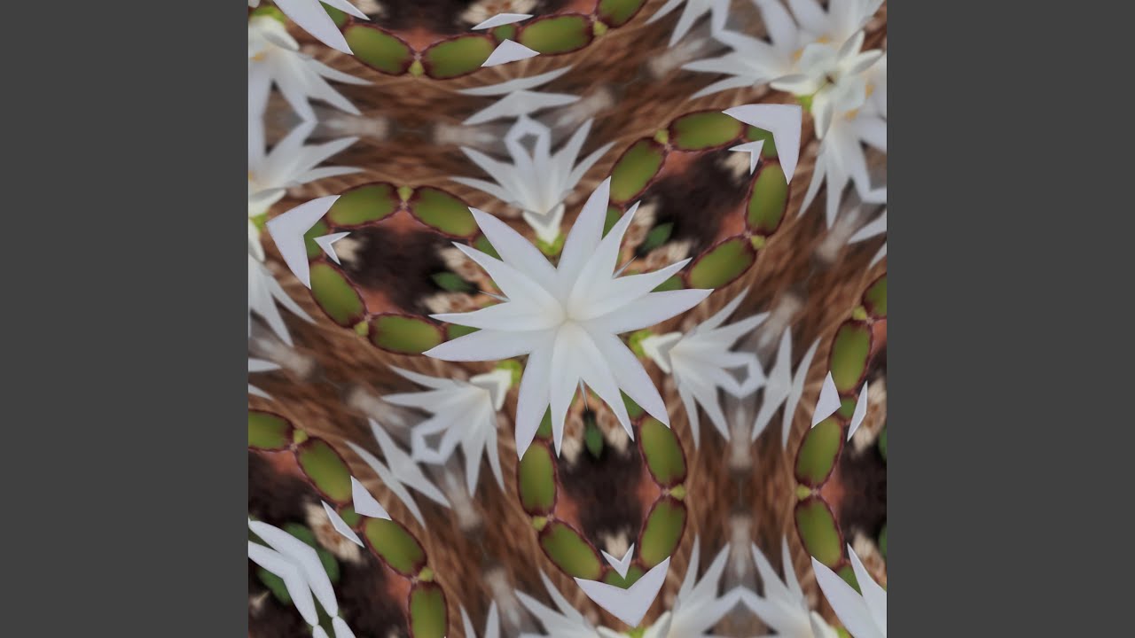 The negative cycles, and undo the curse - YouTube