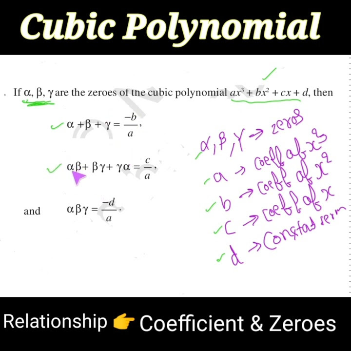 Cubic Polynomial Class 10 | Relationship Between Zeroes & Coefficient - YouTube