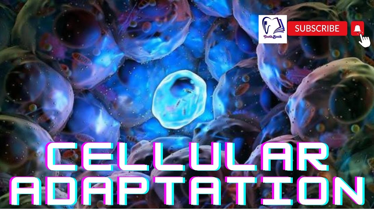 CELLULAR ADAPTATION |Cell Adaptation |General Pathology | Hypertrophy ...