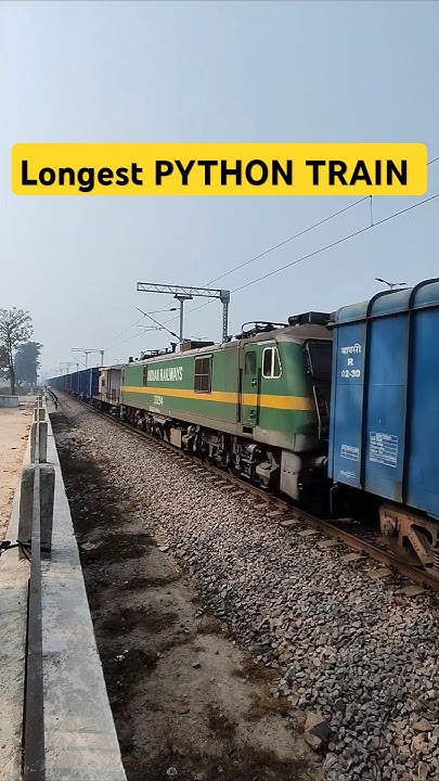 Longest Python Freight Train #trains #shorts #viral #youtubeshorts ...