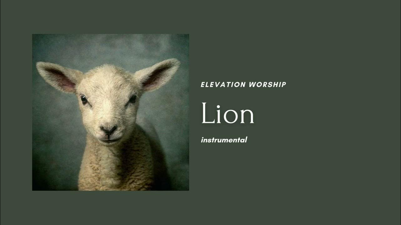 Lion (Instrumental) Elevation Worship - YouTube