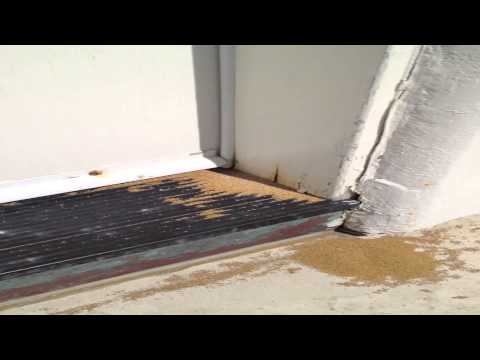 Spot Termite Activity and Control the Termite Area - YouTube