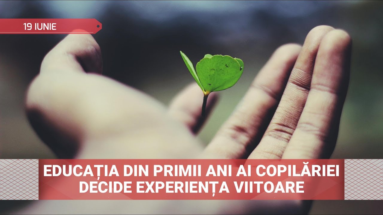 Educația din primii ani ai copilăriei decide experiența viitoare | 19 ...