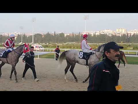 ATLAR GİRERKEN