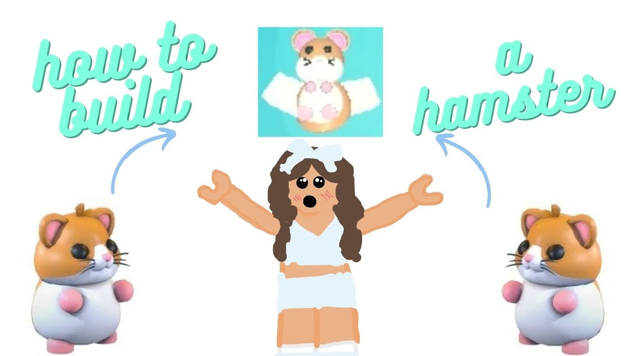 How To Build A Hamster In Adopt Me - YouTube