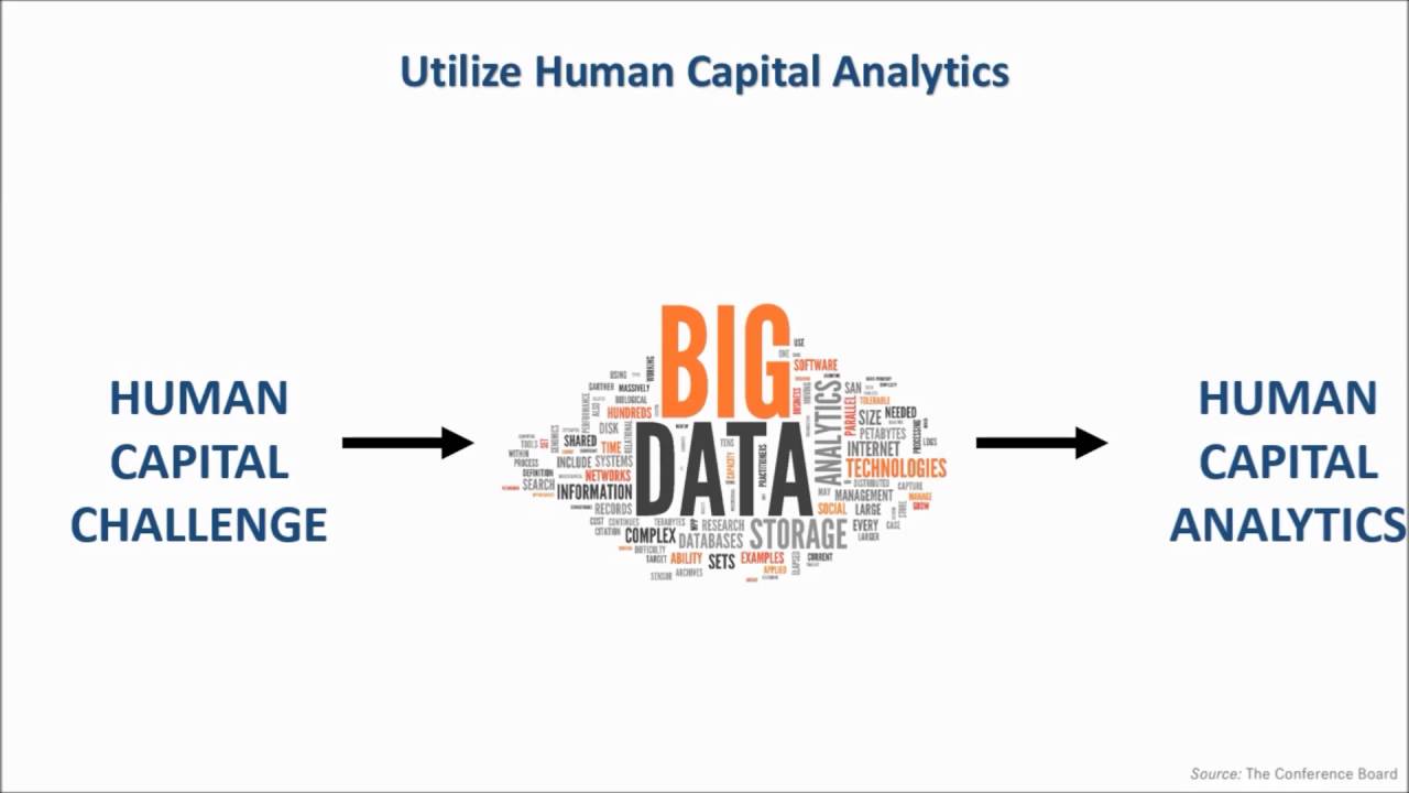 Human Capital Analytics - YouTube