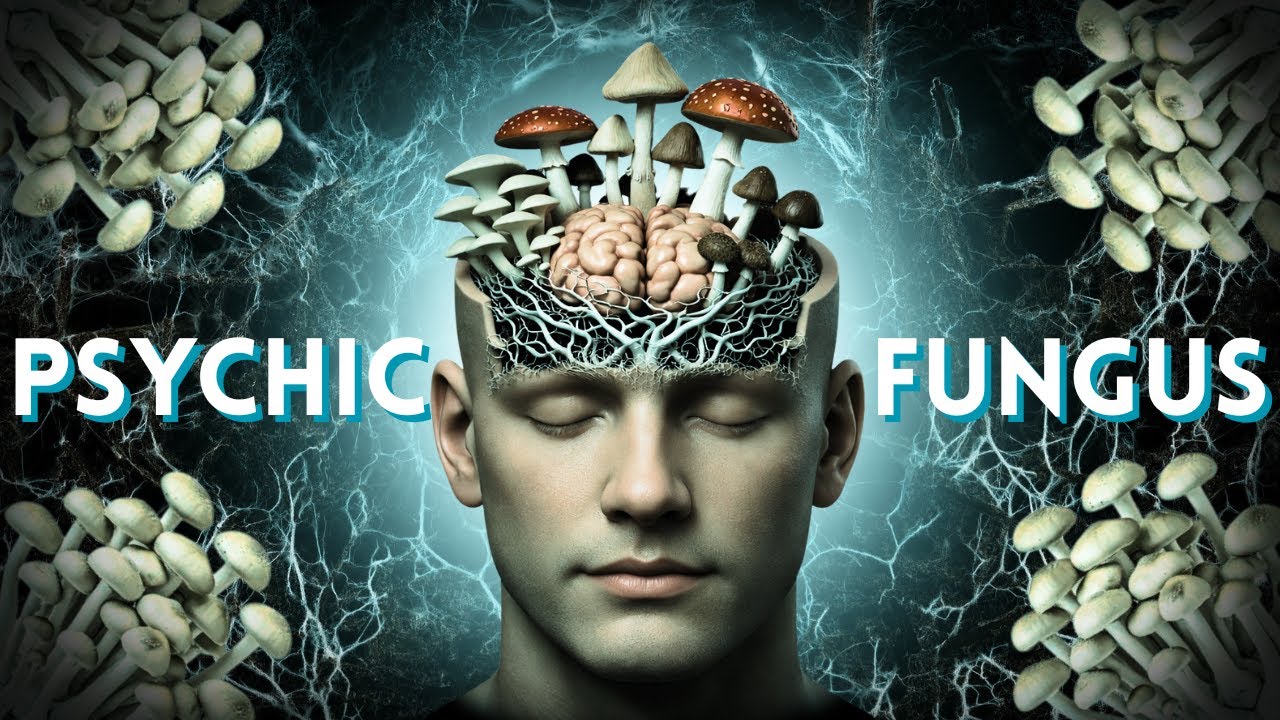 FORBIDDEN KNOWLEDGE: We're All Fungus -- The Invasion of Psychic ...