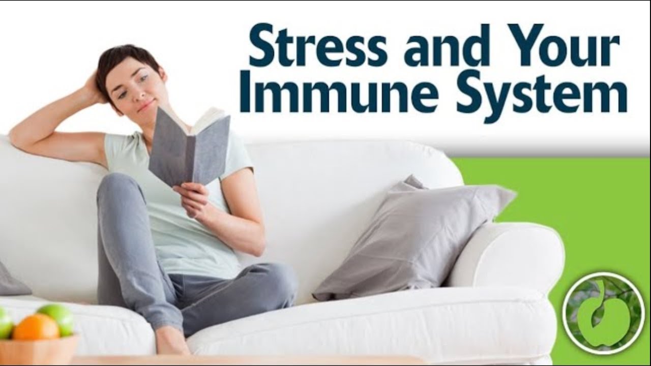 Stress and Your Immune System - Green Apple Health Care - YouTube
