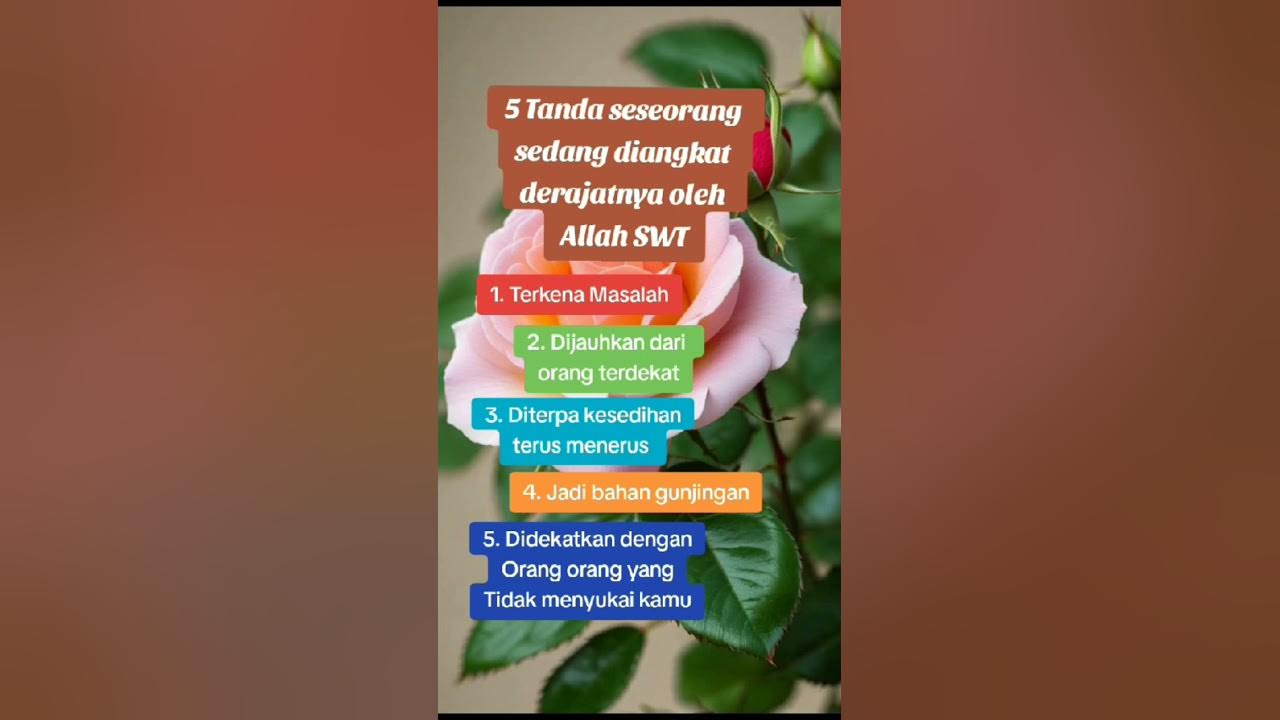 5 Tanda seseorang sedang diangkat derajatnya oleh Alllah #tandaterangkatnyaderajat - YouTube