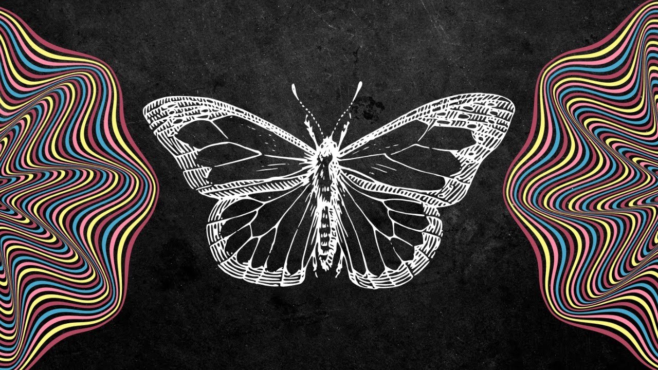 The Butterfly Effect EXPLAINED: And How it Can Change Your Life! - YouTube