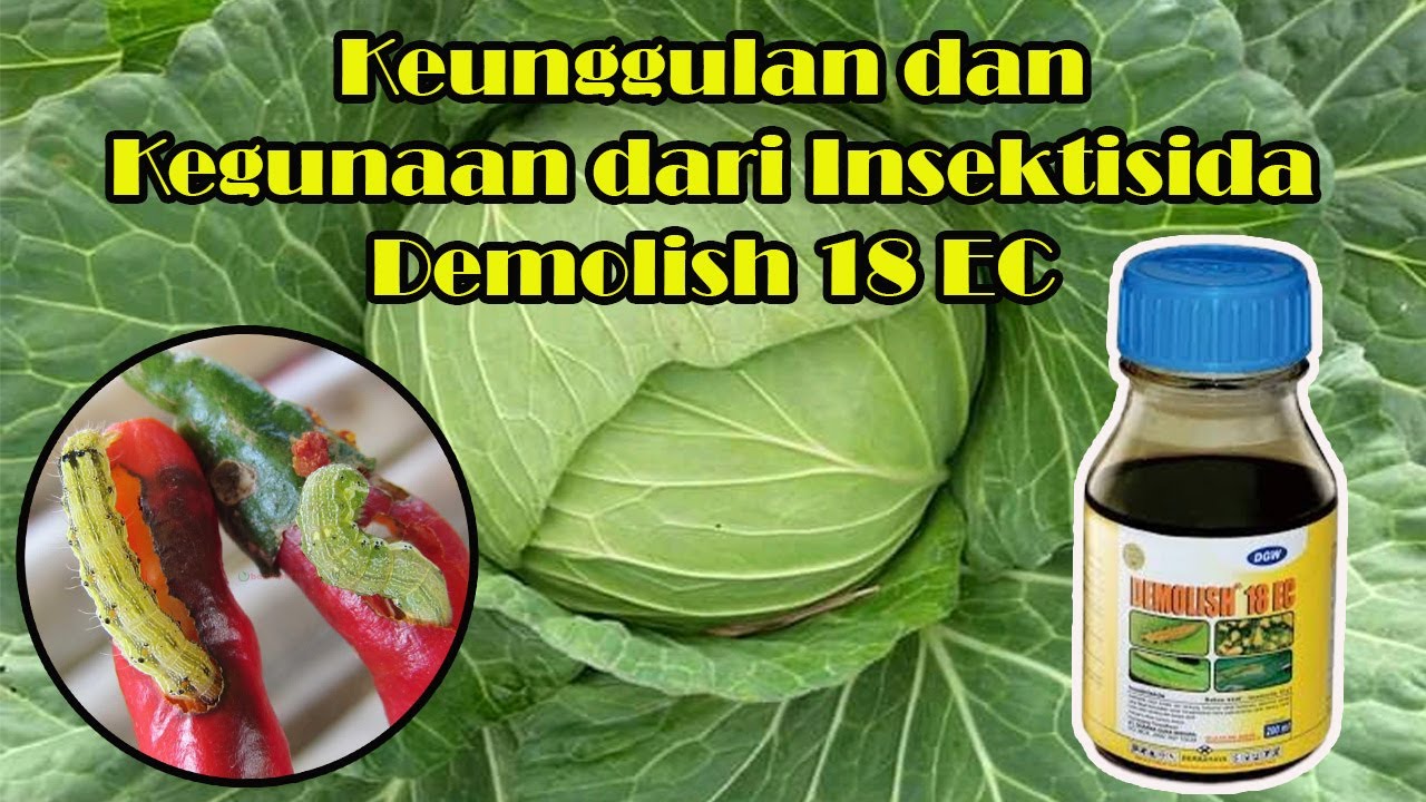 Keunggulan dan Kegunaan dari Insektisida Demolish 18 EC - YouTube