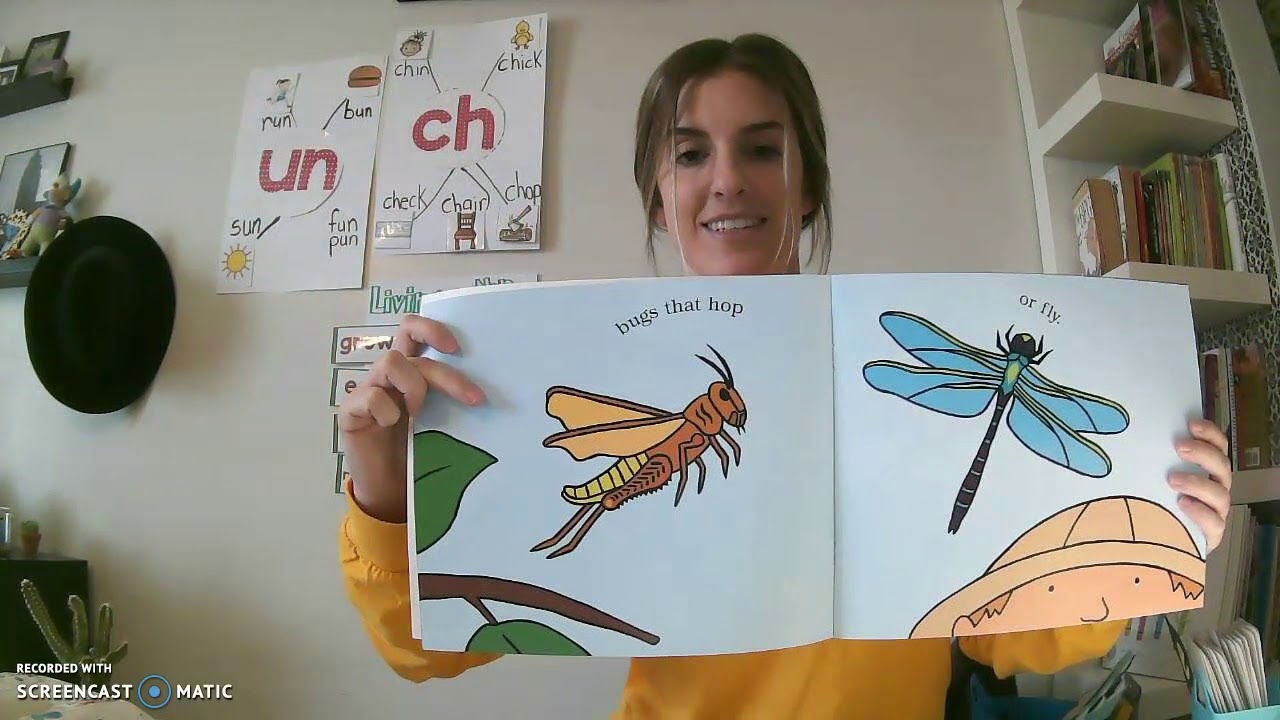 I Love Bugs Read Aloud! - YouTube