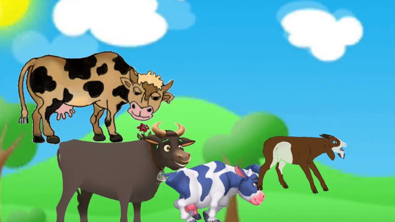 Elephant I zebra IElephant vs zebra - YouTube