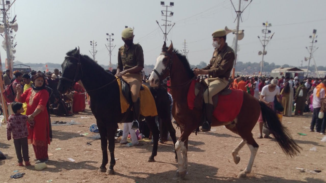 Deepankar Singh @1985Email Singh is live! - YouTube