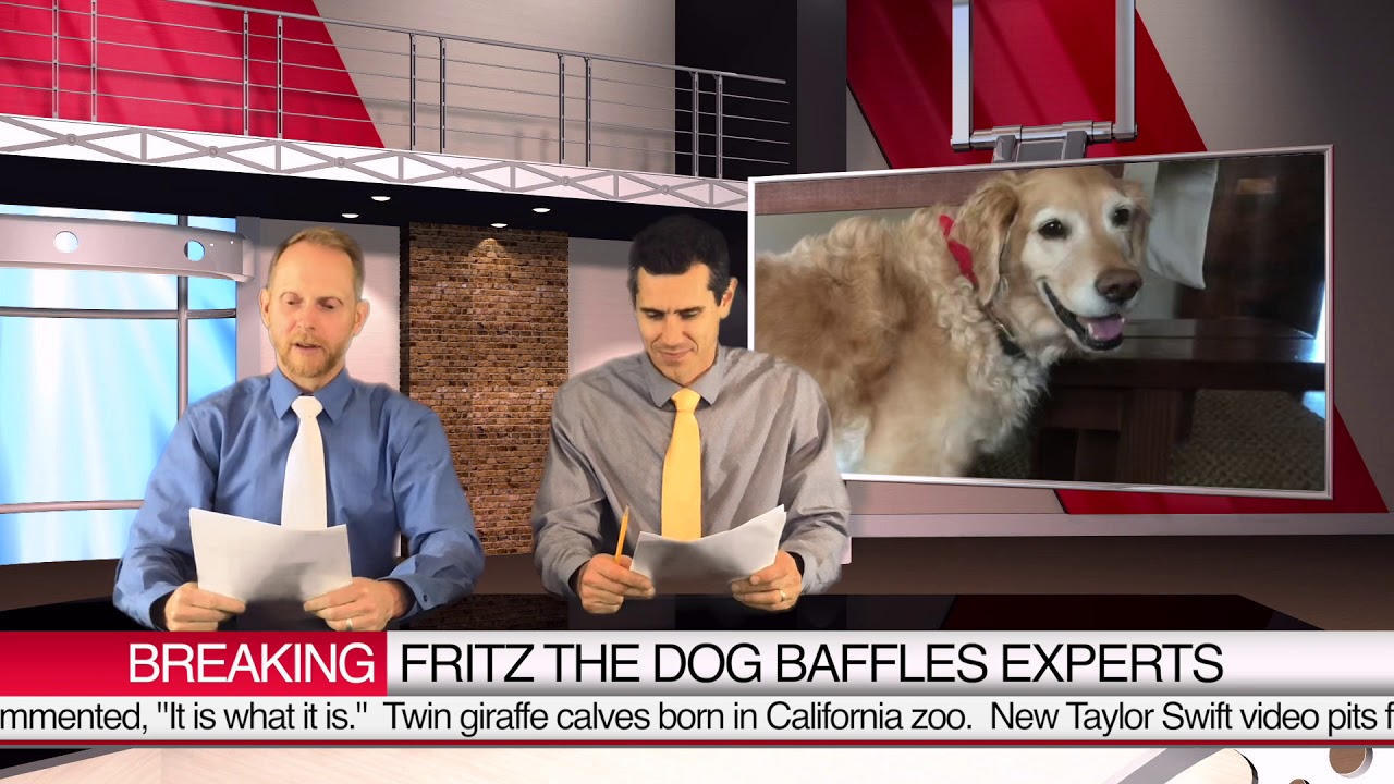 Fritz makes the news, but not for what you'd expect! - YouTube