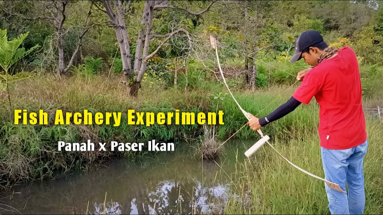 BUSUR PANAH BUAT BERBURU IKAN PREDATOR Di Spot TERBAIK , Fish Hunting ...