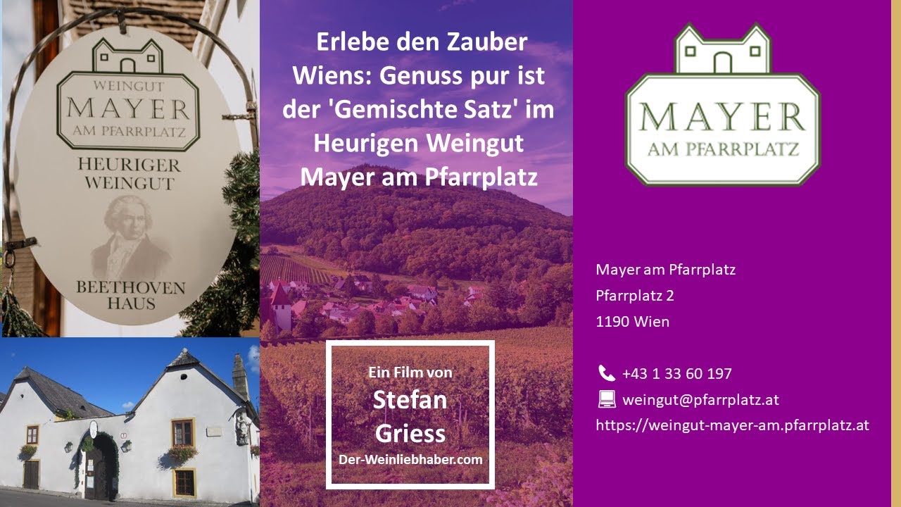 Erlebe den Zauber Wiens: Genuss pur ist der 'Gemischte Satz' im Heurigen Weingut Mayer am ...