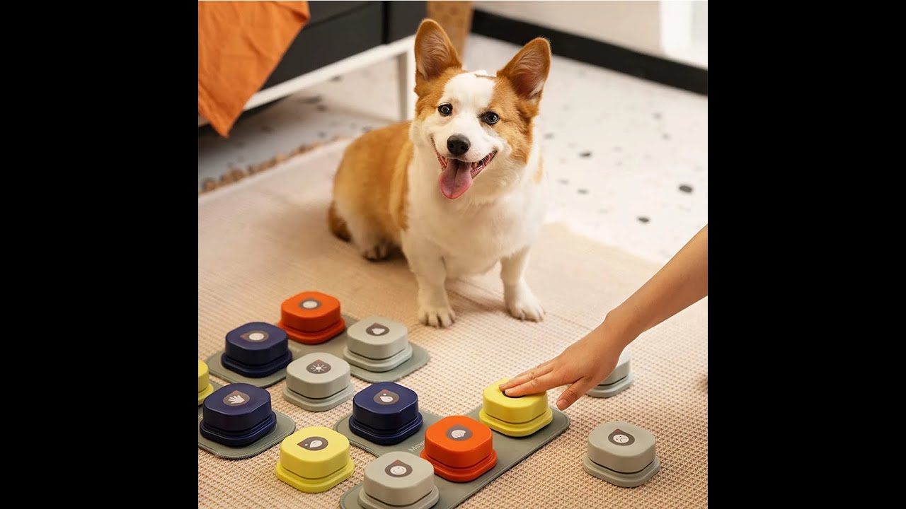 Dog Button Record Talking Pet Communication Vocal Training Interactive ...