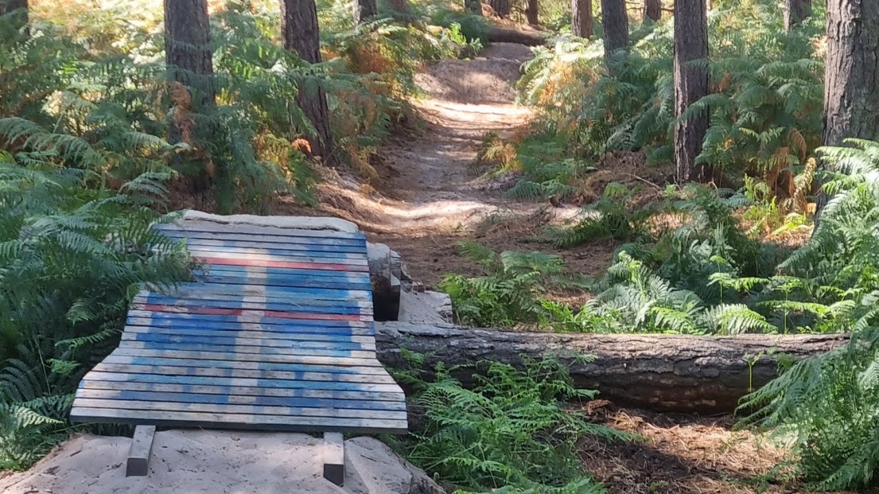Riding Shouldham warren - YouTube
