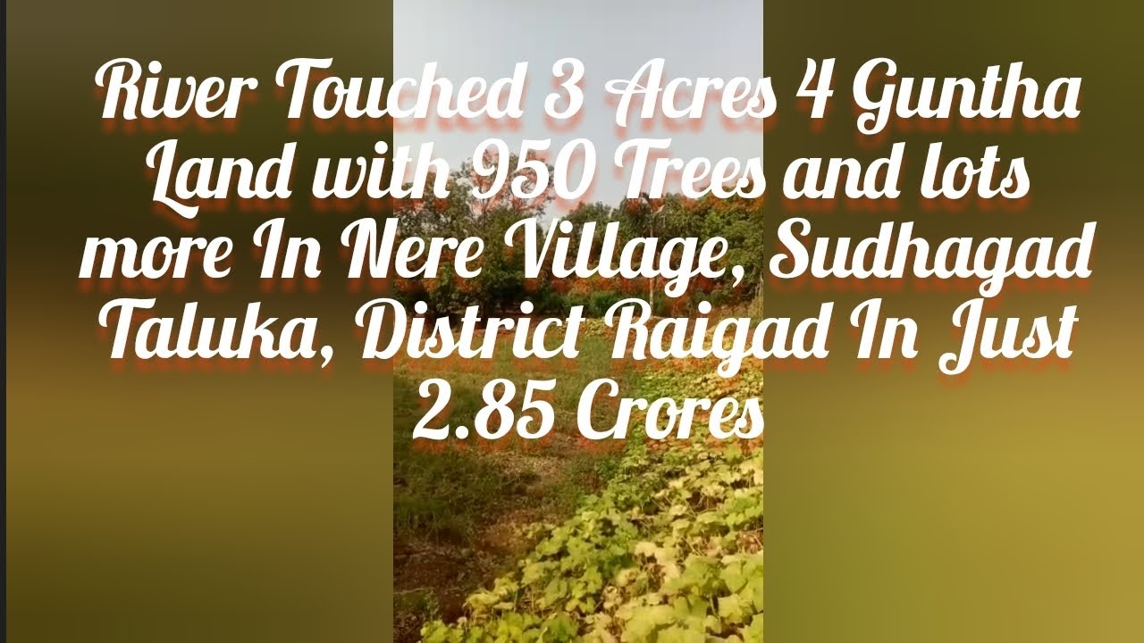 3 Acres 4 Guntha Land With 950 Trees In Nere Village, Sudhagad Taluka ...