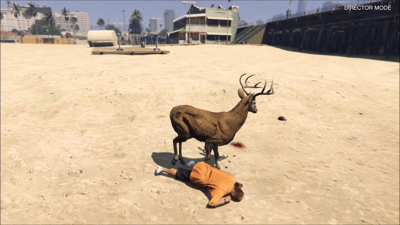 Grand Theft Auto 5: Deer Game Play at the Beach - YouTube